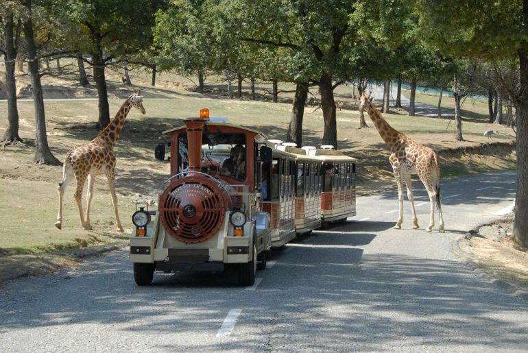 Safari park Varallo Pombia bij het Lago Maggiore - De vele smaken van ...